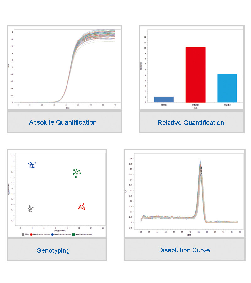 Wayeal Clinical Medical Pcr Analyser สำหรับการทดสอบกรดนิวคลีอิก