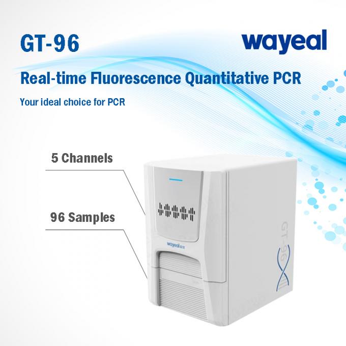 Wayeal Clinical Medical Pcr Analyser สำหรับการทดสอบกรดนิวคลีอิก